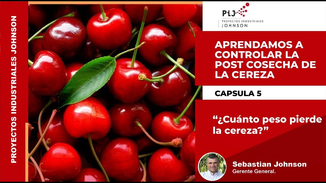 Cuanto Pesa Una Cereza Peso Actual 2025